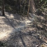Toohey and Nathan Ridge Track , Queensland, Australia - 554 Reviews ...