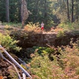 Natural Bridges, Washington - 56 Reviews, Map | AllTrails