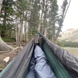 Mitchell Lake Trail, Colorado - 548 Reviews, Map | AllTrails