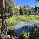 Barney Lake Trail, California - 1,002 Reviews, Map | AllTrails