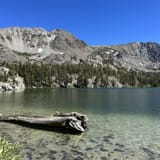 Barney Lake Trail, California - 1,058 Reviews, Map | AllTrails