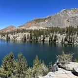 Barney Lake Trail, California - 1,058 Reviews, Map | AllTrails