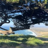 Point Reyes Lighthouse Visitor Center Trail, California - 637 Reviews ...