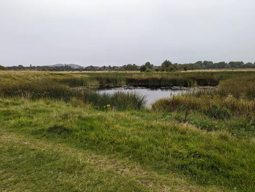 Best Hikes and Trails in Doxey Marshes | AllTrails