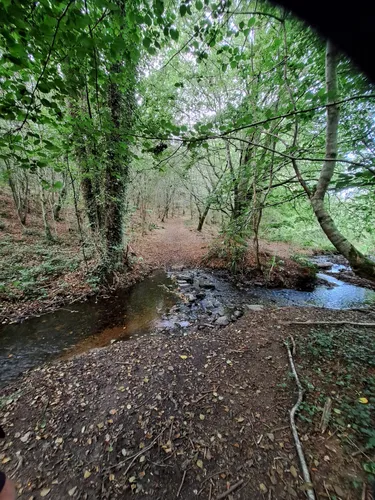 Best Historic Site Trails in Forêt domaniale de Saint-Sever | AllTrails