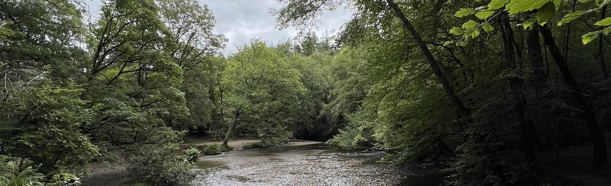 Plymbridge Old Canal and River Walk: 53 Reviews, Map - Devon, England ...