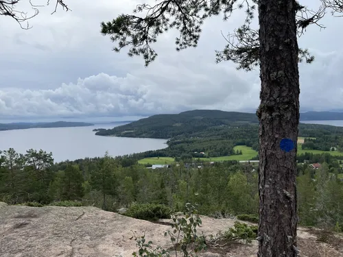 Best Hikes and Trails in Skuleberget Naturreservat | AllTrails