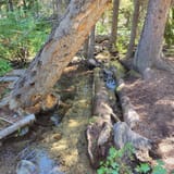 Silver Run Loop Trail, Montana - 546 Reviews, Map | AllTrails