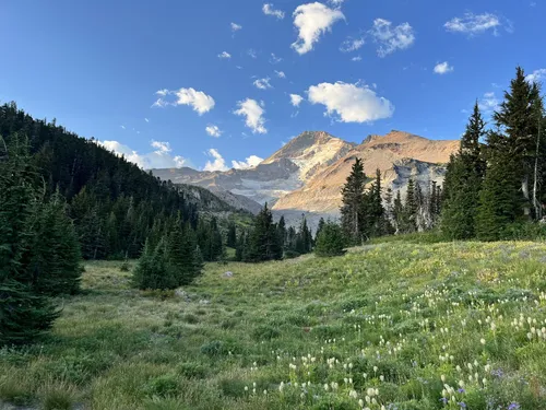 Best 10 Hikes and Trails in Mount Hood National Forest | AllTrails