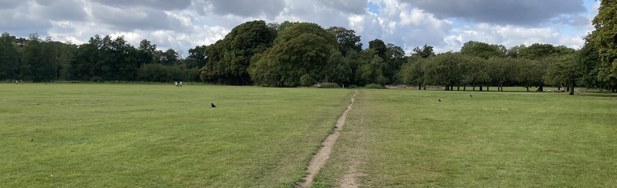 Capital Ring Walk Section 3: Grove Park to Crystal Palace: 147 foto ...