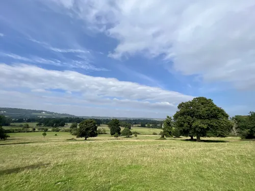 Best River Trails in Mole Valley | AllTrails
