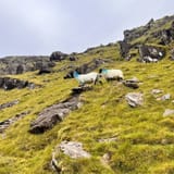 Mount Brandon from Faha, County Kerry, Ireland - 407 Reviews, Map ...