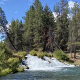 Fall River Loop, Oregon - 444 Reviews, Map | AllTrails