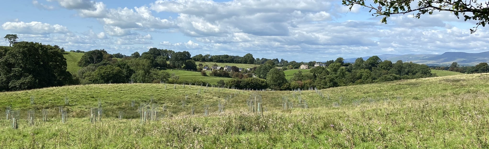 Kirkby Stephen and Nateby Circular, Cumbria, England - 26 Reviews, Map ...