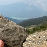 Burgess Shale and Walcott Quarry, British Columbia, Canada - 148 ...
