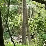 Alberton Road Trail, Maryland - 1,240 Reviews, Map | AllTrails