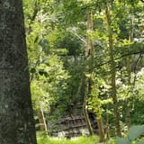 Alberton Road Trail, Maryland - 1,240 Reviews, Map | AllTrails