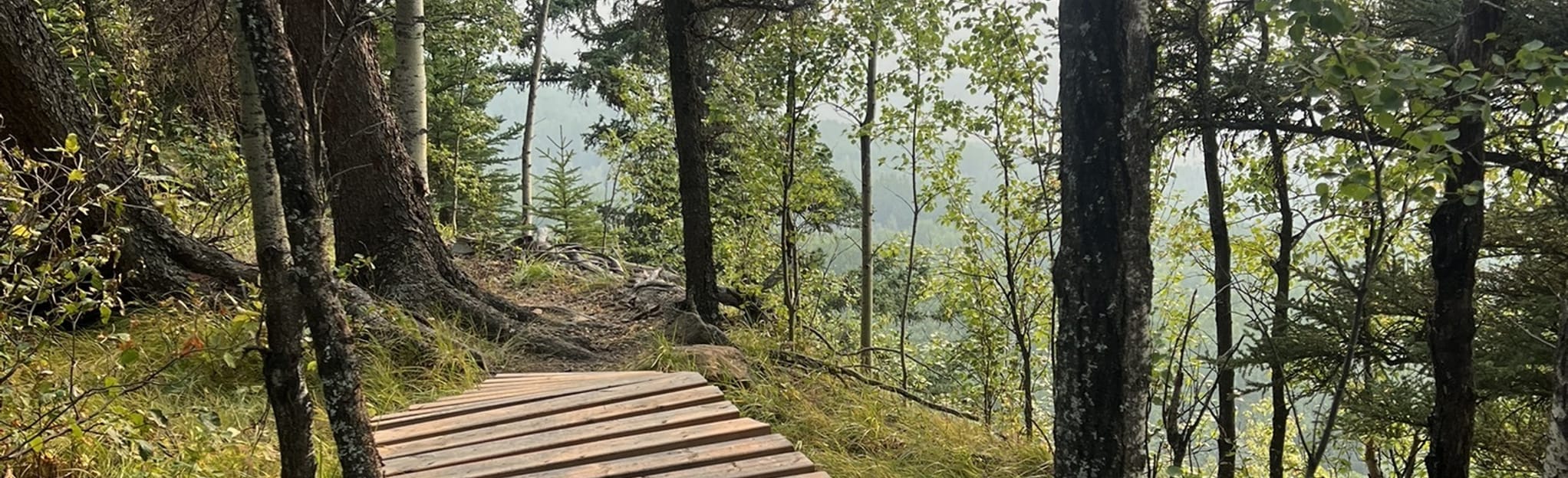 Rim Rocks Trail: 38 Reviews, Map - British Columbia, Canada | AllTrails