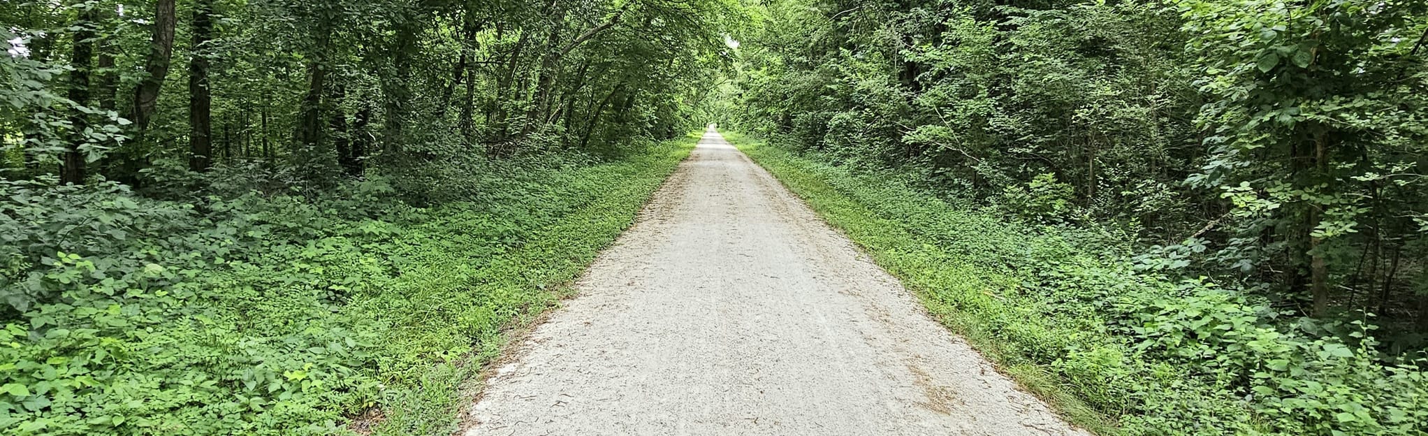 Katy Trail: Boonville to Rocheport, Missouri - 98 Reviews, Map | AllTrails