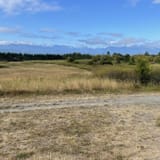 Dungeness Recreation Trail, Washington - 78 Reviews, Map | AllTrails