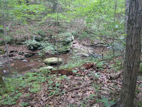 2023 Best Views Trails in Hunt Valley | AllTrails
