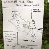 Stratton Mountain and Stratton Pond Loop, Vermont - 331 Reviews, Map ...