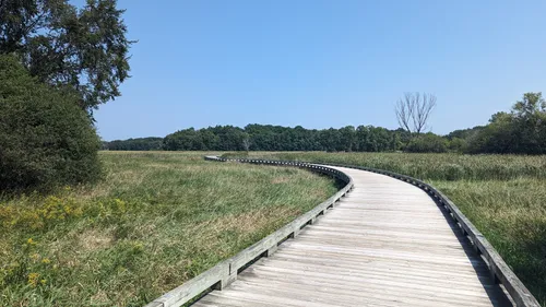 2023 Best Wheelchair Friendly Trails in Cuba Marsh Forest Preserve ...