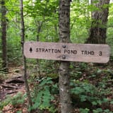 Stratton Mountain and Stratton Pond Loop, Vermont - 331 Reviews, Map ...
