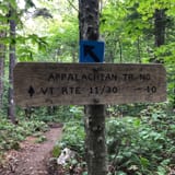 Stratton Mountain and Stratton Pond Loop, Vermont - 331 Reviews, Map ...