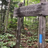 Stratton Mountain and Stratton Pond Loop, Vermont - 452 Reviews, Map ...