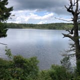 Stratton Mountain and Stratton Pond Loop, Vermont - 331 Reviews, Map ...