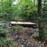 Stratton Mountain and Stratton Pond Loop, Vermont - 331 Reviews, Map ...