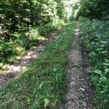 Stratton Mountain and Stratton Pond Loop, Vermont - 331 Reviews, Map ...