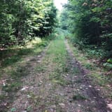 Stratton Mountain and Stratton Pond Loop, Vermont - 331 Reviews, Map ...