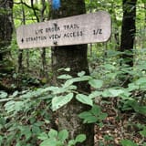 Stratton Mountain and Stratton Pond Loop, Vermont - 331 Reviews, Map ...