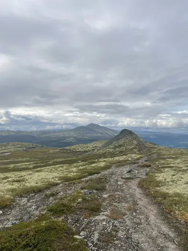 Best Dog Friendly Trails in Rondane National Park | AllTrails