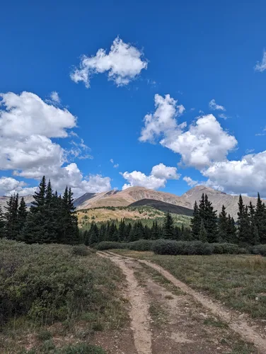 10 Best Trails and Hikes in Alma | AllTrails