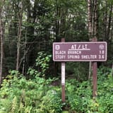 Stratton Mountain and Stratton Pond Loop, Vermont - 452 Reviews, Map ...