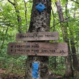 Stratton Mountain and Stratton Pond Loop, Vermont - 331 Reviews, Map ...