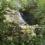 Greeter Falls Loop and Greeter Trail to Alum Gap, Tennessee - 1,017 ...