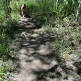 Gilpin Lake Trail, Colorado - 485 Reviews, Map | AllTrails