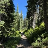 Gilpin Lake Trail, Colorado - 566 Reviews, Map | AllTrails