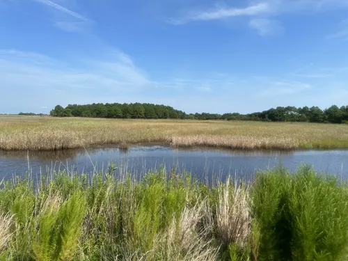 Best Hikes and Trails in Back Bay National Wildlife Refuge | AllTrails