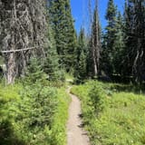 Gilpin Lake Trail, Colorado - 566 Reviews, Map | AllTrails