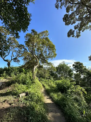 10 Best Trails and Hikes in Penang | AllTrails