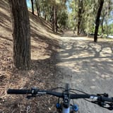 Fullerton Loop Trail, California - 4,865 Reviews, Map | AllTrails