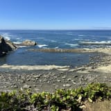 Cape Arago Loop Trail, Oregon - 278 Reviews, Map | AllTrails