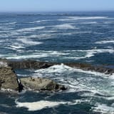 Cape Arago Loop Trail, Oregon - 278 Reviews, Map | AllTrails