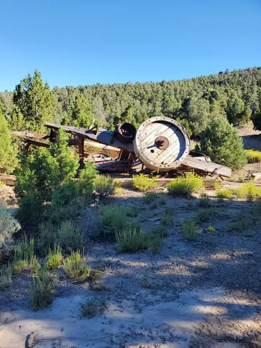 Best Hikes and Trails in Steptoe Park | AllTrails