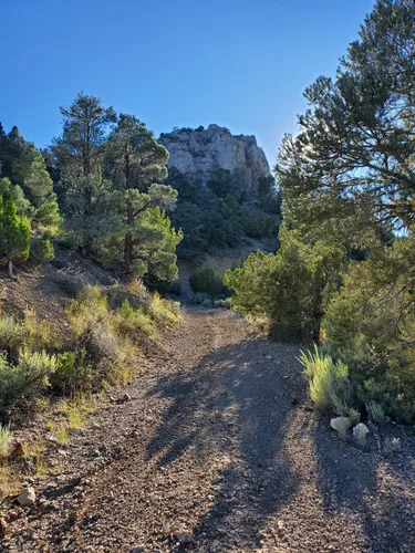 Best Hikes and Trails in Steptoe Park | AllTrails